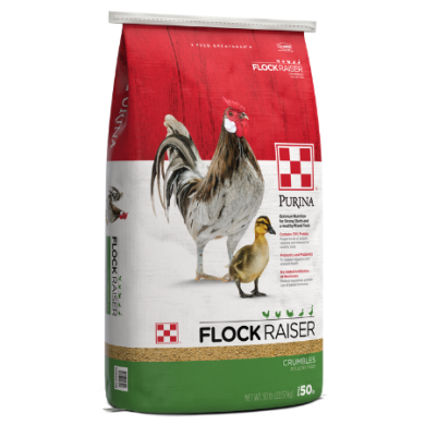 Flock Raiser Crumbles | Purina Poultry Feed | Steinhauser's South Texas