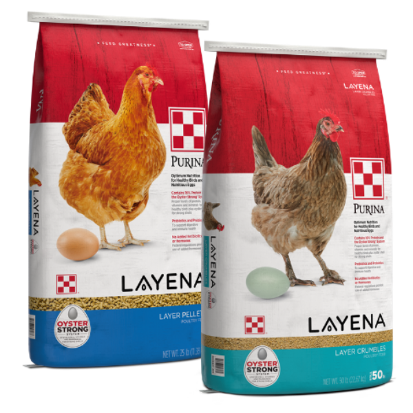 Purina Layena Crumbles & Pellets - Steinhauser's