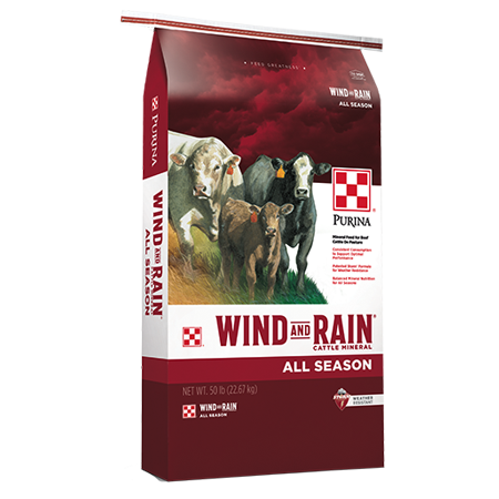 Fly Control For Cattle - Steinhauser's