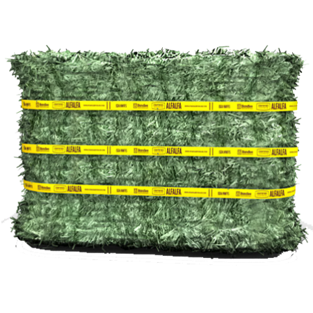 Standlee Certified Alfalfa Compressed Bale - Steinhauser's