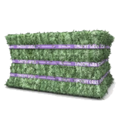 Standlee Premium Alfalfa Compressed Bale - Steinhauser's