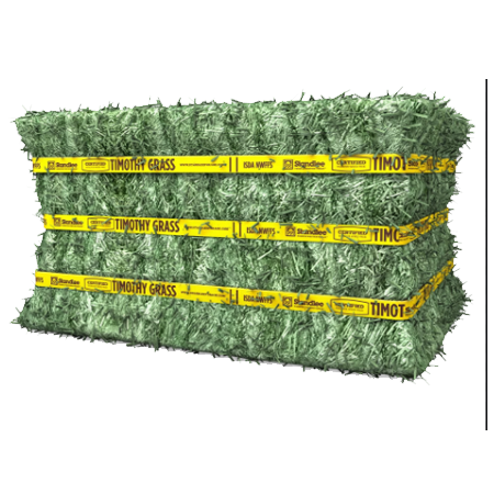 Standlee Certified Timothy Compressed Bale - Steinhauser's