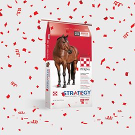 Purina Strategy Horse Feeds Product Updates - Steinhauser's