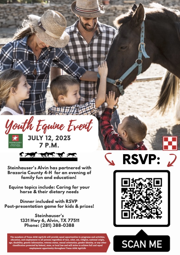 Youth Equine Event at Alvin - Steinhauser's