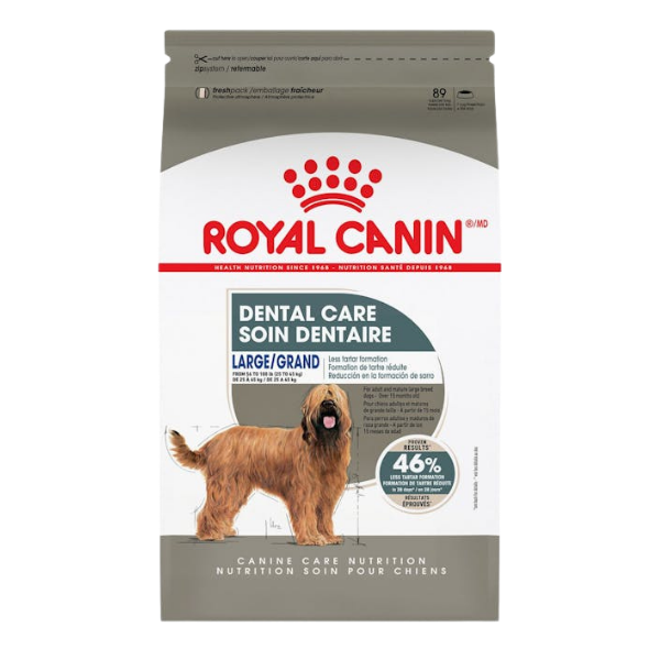 Royal Canin Large Dental Care Dry Dog Food - Steinhauser's