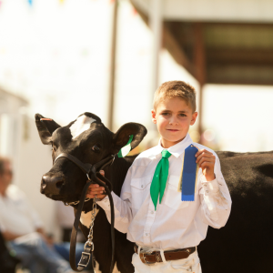 2026 Livestock Shows - Steinhauser's